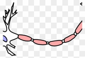 Neuron Clip Art, Transparent PNG Clipart Images Free Download - ClipartMax