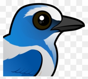 Cute Florida Scrub By Birdorable Meet The - Florida Scrub Jay Cartoon ...