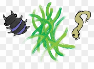 Decomposer Drawing Plant - Decomposers Transparent - Free Transparent ...