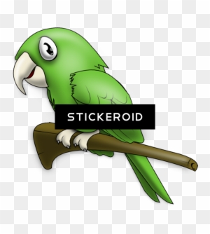 Cute Parrot - Parakeet - Free Transparent PNG Clipart Images Download