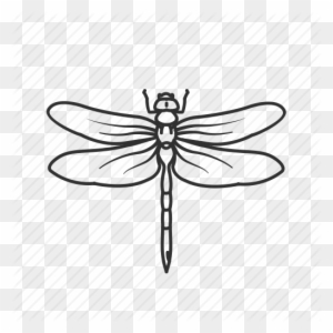 Dragonfly Clipart - Dragonfly Drawing Side View - Free Transparent PNG ...