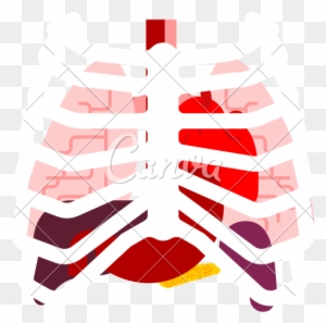 Rib Cage And Internal Organs - Organ - Free Transparent PNG Clipart ...