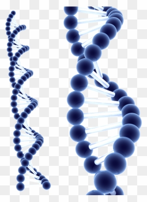 15 - Stem Cell Therapy Infographic - Free Transparent PNG Clipart ...