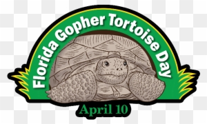 Gopher Tortoises May Be Slow, But Gopher Tortoise Day - Florida Gopher ...