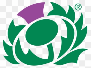 Scottish Rugby Philosopher - Scotland Rugby Logo Png - Free Transparent ...