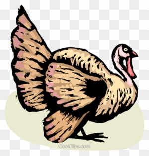 Cold Turkey Clipart Png