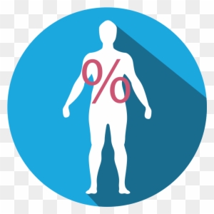 Body Fat Percentage - Illustration - Free Transparent PNG Clipart ...