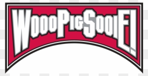 Arkansas Razorbacks Iron On Stickers And Peel-off Decals - Woo Pig ...