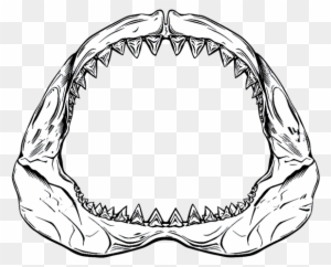 Shark Jaws Icon Image - Shark Jaws Png - Full Size PNG Clipart Images ...