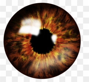 Brown Eyes Clipart Small Eye - Eye Lens Png - Free Transparent PNG ...