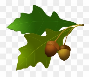 Oak Leaves Clip Art, Transparent PNG Clipart Images Free Download ...