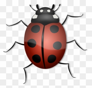 Animals With 6 Legs Clipart - Free Transparent PNG Clipart Images Download