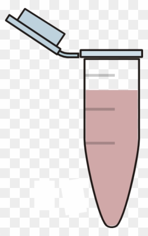 1ml Eppendorf Tube Clip Art At Clker - Eppendorf Tube Png - Free ...