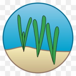 Sea Grass Clipart Kelp - Seagrass Symbol - Free Transparent PNG Clipart ...