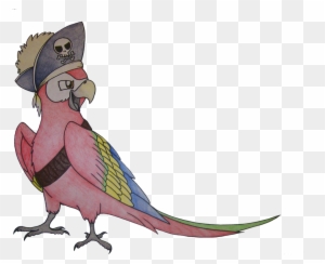 Pirate Macaw By Nukeleer - Parrot - Free Transparent PNG Clipart Images ...