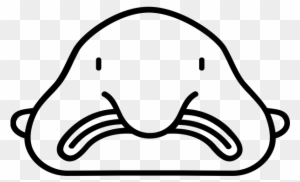 Blobfish Drawing Transparent Background - Blobfish Drawing Transparent Background - Free ...