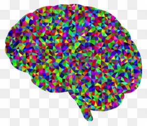 Human Brain White Matter Working Memory Clip Art - Brain Png Black And ...