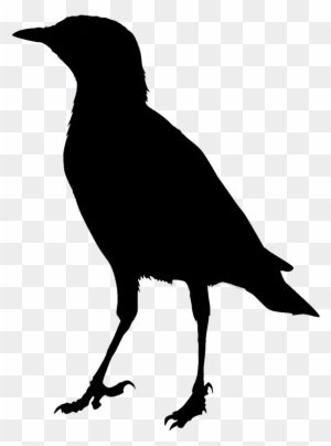 Black Cartoon Crow Clipart - Animated Crow Png - Full Size PNG Clipart ...
