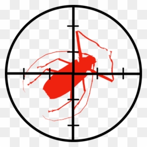Target Bugs - Scope Sight - Free Transparent PNG Clipart Images Download
