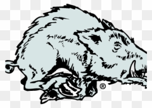 Arkansas Razorback Stencil - Arkansas Razorbacks - Free Transparent PNG ...