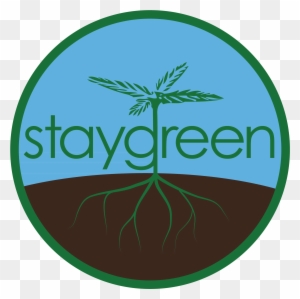 Stay - Stay - Free Transparent PNG Clipart Images Download