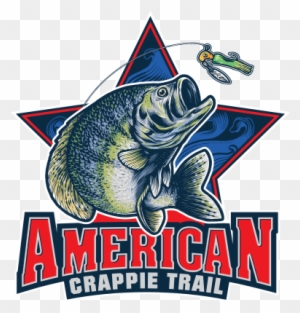 Crappie, Transparent PNG Clipart Images Free Download - ClipartMax