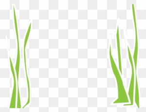 Reed Clipart Underwater - Illustration - Free Transparent PNG Clipart ...