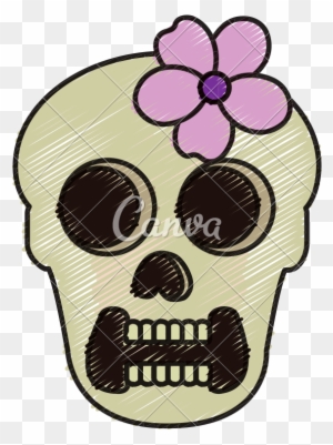 Female Skull Head With Flower - Female Skull Cartoon - Free Transparent ...