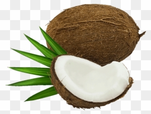 Free Clip Art Coconut - Coco Fruta En Png - Free Transparent PNG ...