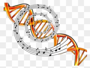 Biology - Music Dna - Free Transparent PNG Clipart Images Download