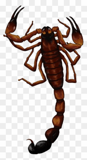 Custom Story Art - Scorpion Claw - Free Transparent PNG Clipart Images ...