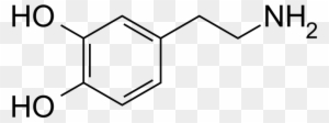 Dopamine Is A Neurotransmitter Made In Our Substantia - Dopamine ...