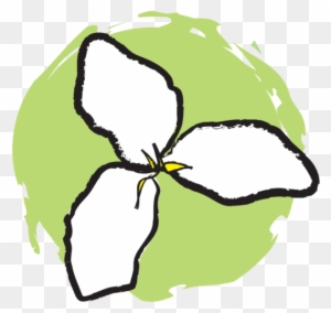 Trillium - Free Transparent PNG Clipart Images Download