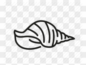 Drawn Shell Sea Creature - Drawing - Free Transparent PNG Clipart ...