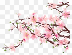 Haiku Poetry - Cherry Blossom Transparent Background - Free Transparent ...