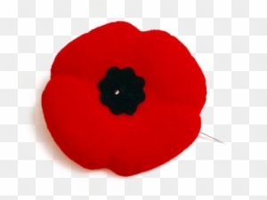Remembrance Day - Remembrance Poppy Png - Free Transparent PNG Clipart ...