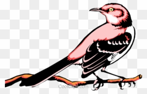 Mocking Bird Royalty Free Vector Clip Art Illustration - Pink Black And ...