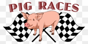 Pig Races And Entertainment - Race Flags Png - Free Transparent PNG ...