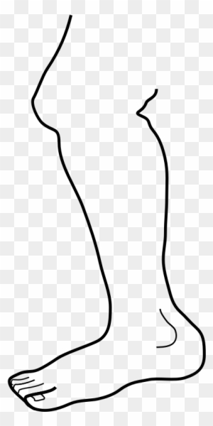 Leg Clipart, Transparent PNG Clipart Images Free Download - ClipartMax