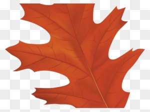 Autumn Leaves Clipart Tree - Red Oak Tree Leaf Clipart - Free ...