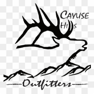 Our Fair Chase Hunts Are Conducted On Over 60,000 Acres - Easy Elk Head ...