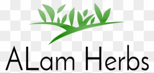 Alam Herbs & Trading - Alam Herbs & Trading - Free Transparent PNG ...