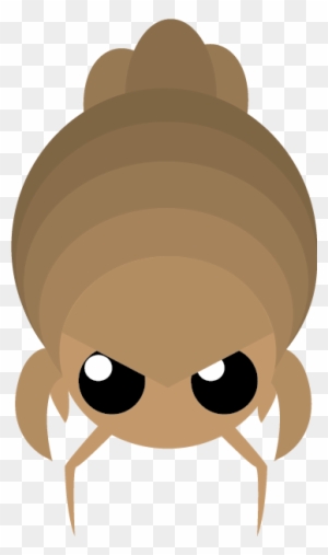 Isopods - Free Transparent PNG Clipart Images Download