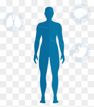 70 Highquality Human Body Outline Printable For Free - 70 Highquality ...