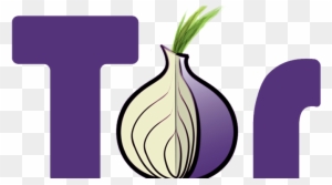 Tor Onion - Free Transparent PNG Clipart Images Download
