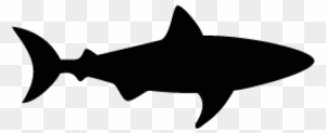 Shadow Clipart Shark - Silhouette Of A Shark - Free Transparent PNG ...