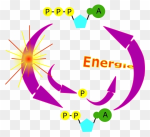 Microsoft Atp Diagram Free Electrical Wiring Diagram - Atp Clipart ...