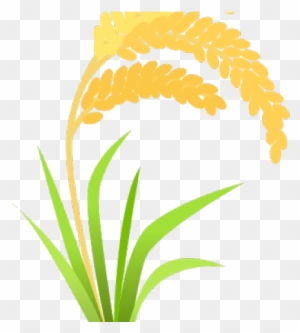 Trees Clipart Rice - Ear Of Rice Transparent - Free Transparent PNG ...