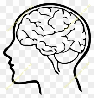 Empty Brain Clipart Google