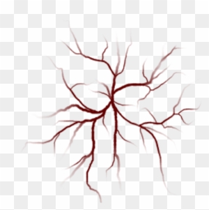 Red Veins - Veins Png - Full Size PNG Clipart Images Download